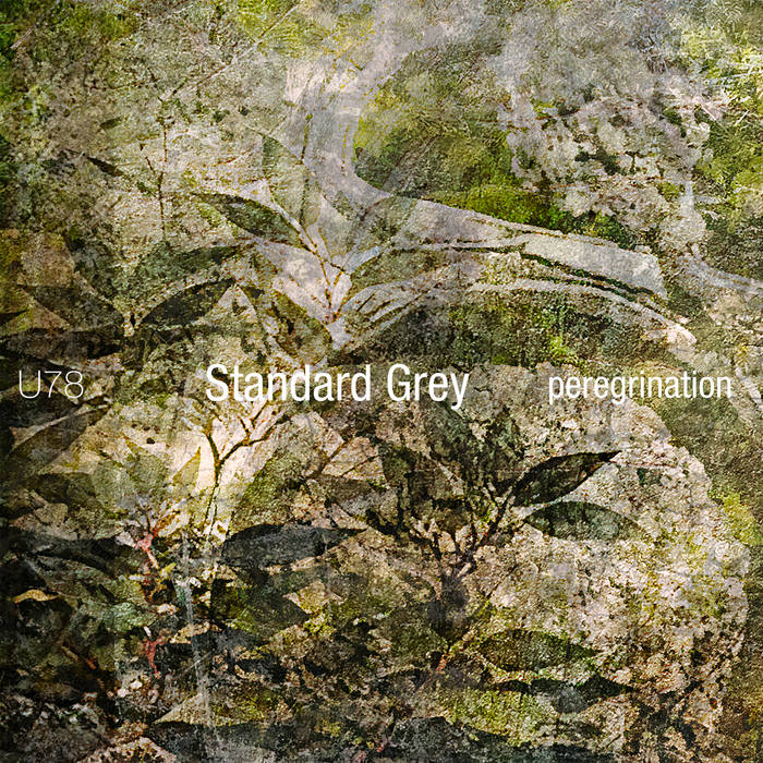 Standard Grey - Peregrination - Reviews - Album of The Year