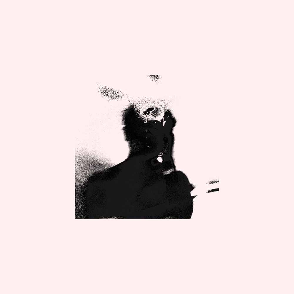 FACE WITH NO FEATURES - NOBODY WILL CARE - Reviews - Album of The Year