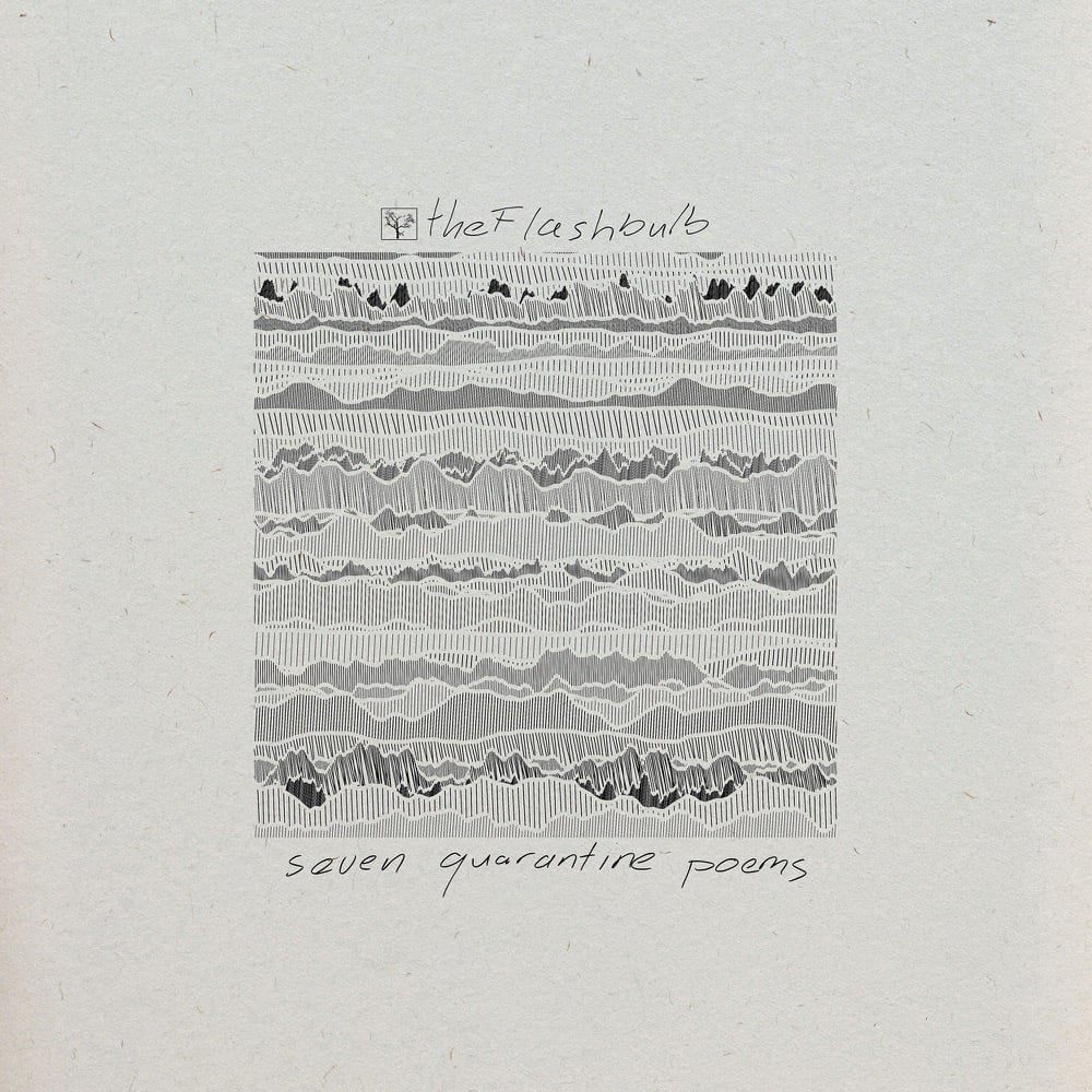 The Flashbulb - Seven Quarantine Poems (EP) - Reviews - Album of The Year