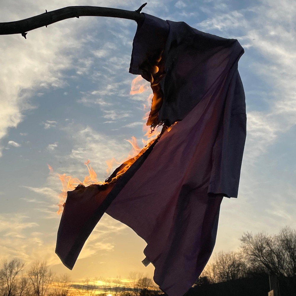 Phantom Sense - Lavender - Reviews - Album of The Year