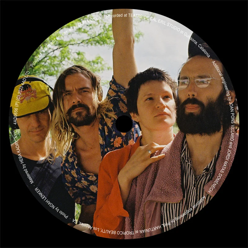 Songs Similar to Vampire Empire by Big Thief