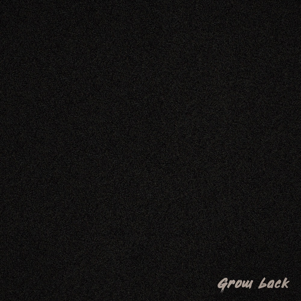 Gwangil Jo - Grow back - Reviews - Album of The Year