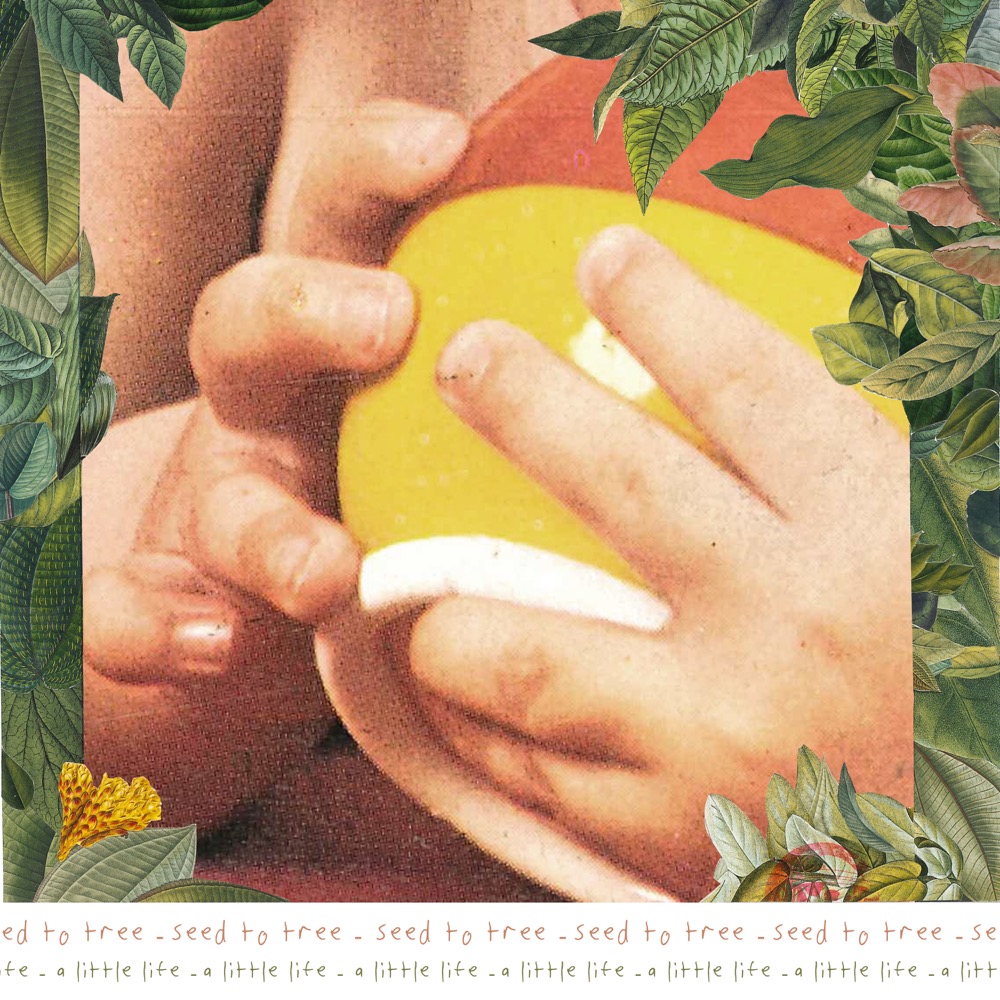 Seed To Tree - A Little Life (Single) - Reviews - Album of The Year