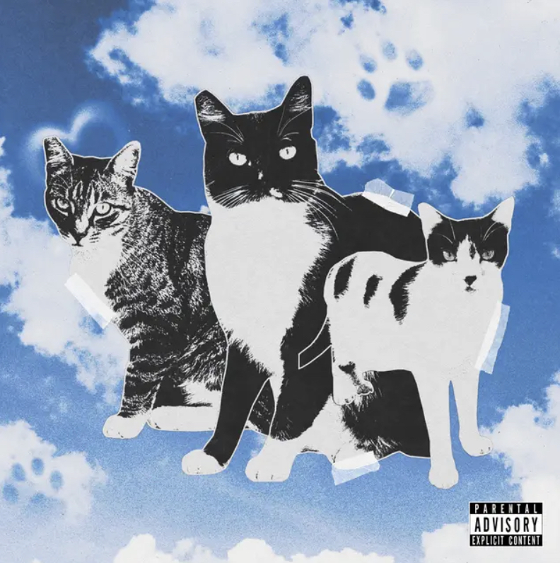 tobi lou - Caturday - Reviews - Album of The Year