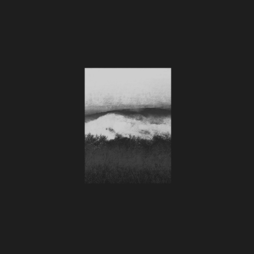 Restive Plaggona - Leftina / Osha - Reviews - Album of The Year