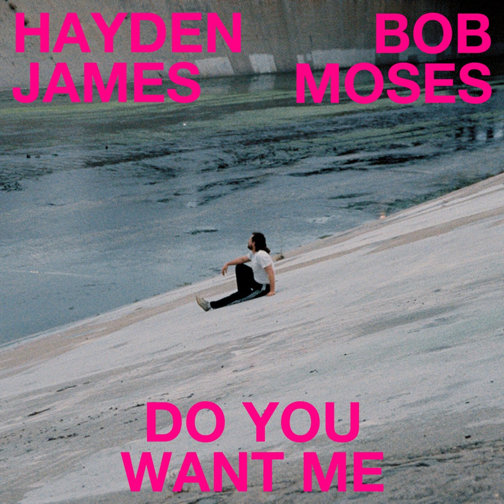 Hayden James & Bob Moses - Do You Want Me (Single) - Reviews - Album of ...