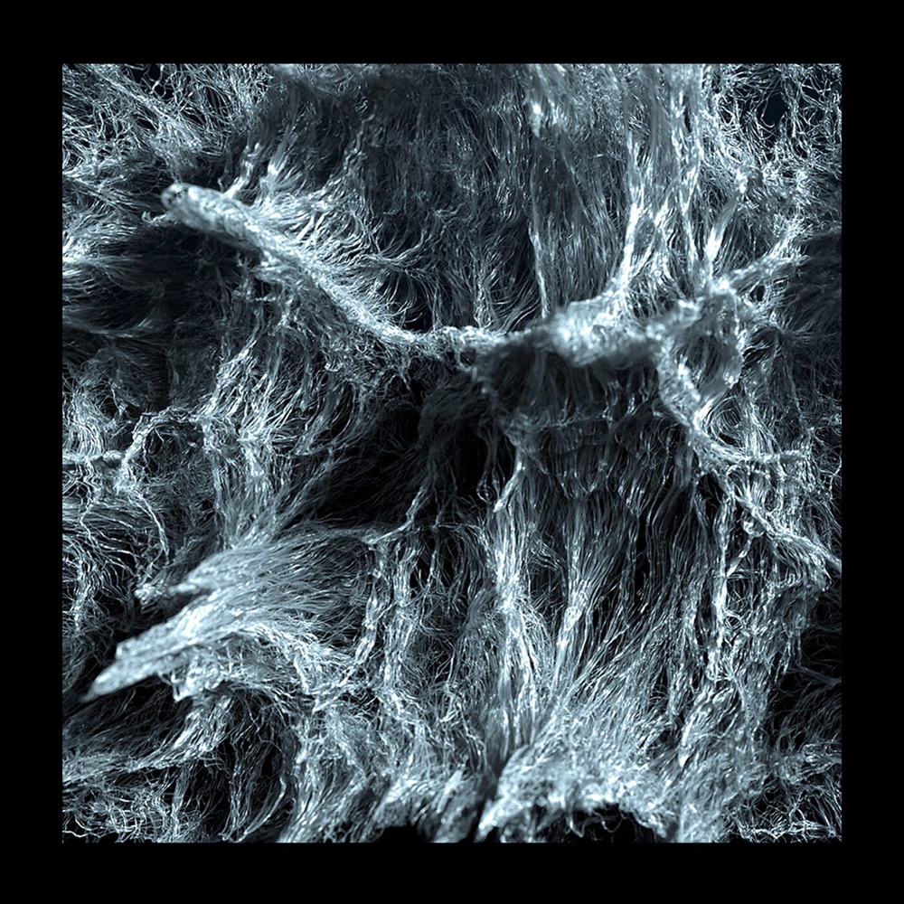 Yubik - Riot Romance - Reviews - Album of The Year