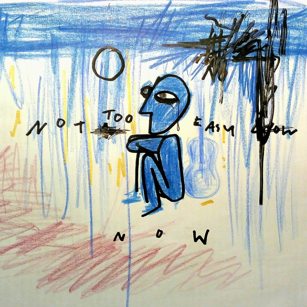 Onat Önol - Not Too Easy - Reviews - Album of The Year