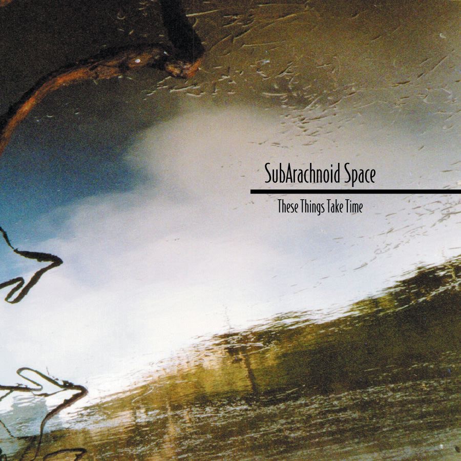 SubArachnoid Space - These Things Take Time - Reviews - Album of The Year