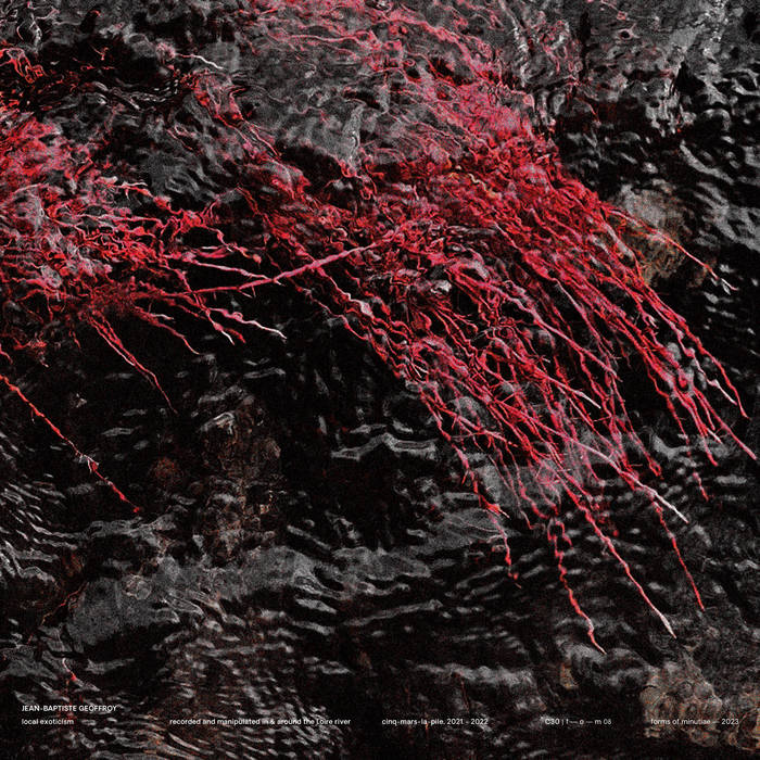 Jean-baptiste Geoffroy - Local Exoticism - Reviews - Album of The Year