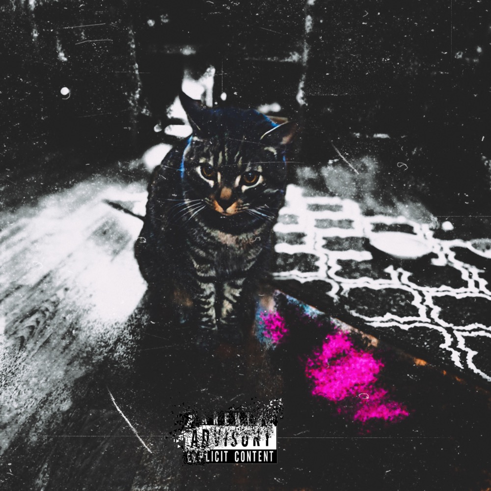 twogeebs - Tha Geeb Tape 4 - Reviews - Album of The Year