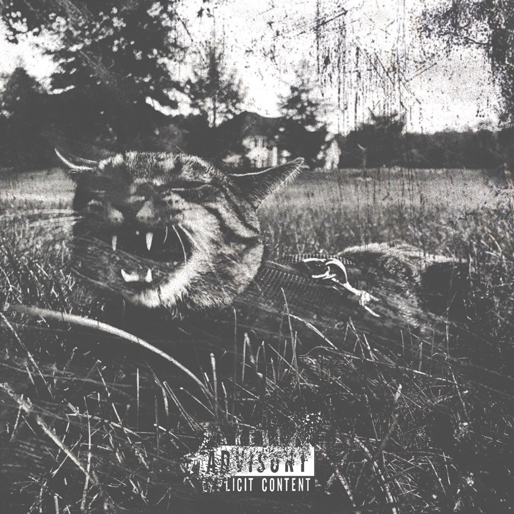 twogeebs - Tha Geeb Tape 3 - Reviews - Album of The Year