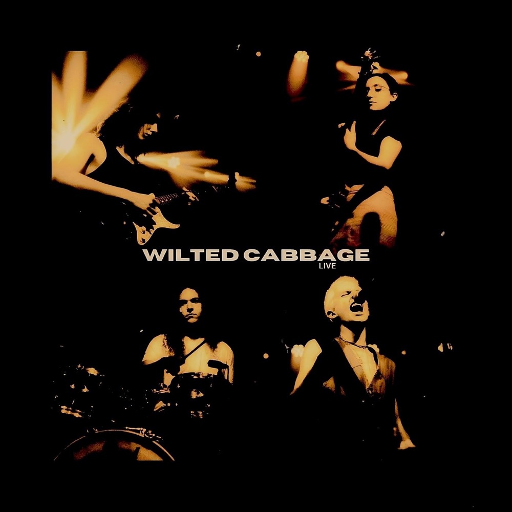 Wilted Cabbage - Live at the Birdroom (Live) - Reviews - Album of The Year