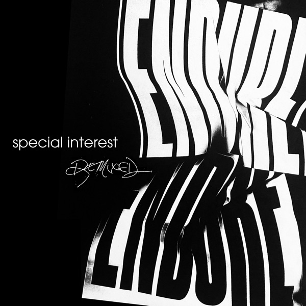 Special Interest - Endure (Remixed) (Remix) - Reviews - Album of The Year