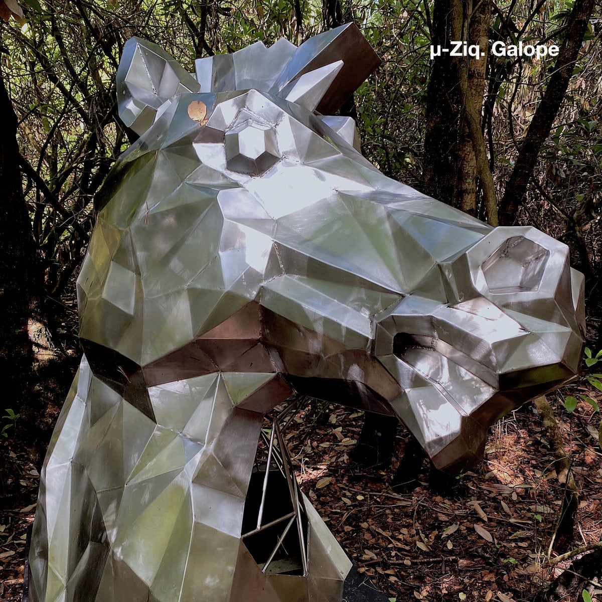 µ-Ziq - Galope (EP) - Reviews - Album of The Year