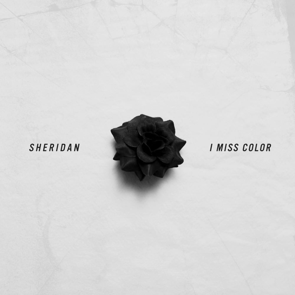 Sheridan - I Miss Color (Single) - Reviews - Album of The Year