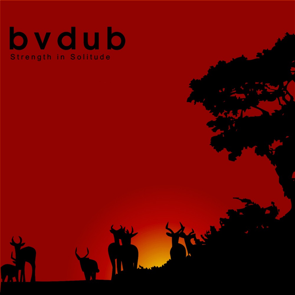bvdub - Strength in Solitude LP - Reviews - Album of The Year