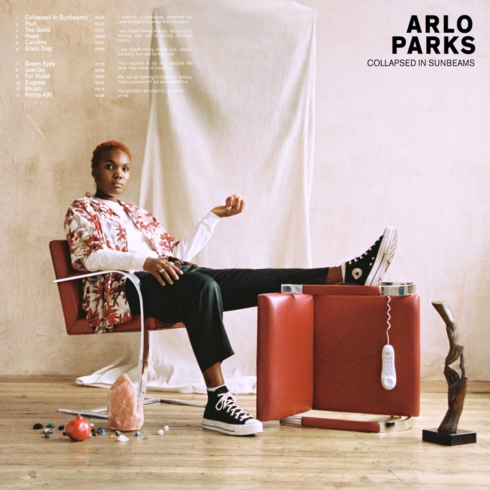 Arlo Parks - Collapsed In Sunbeams (Deluxe) (Reissue) - Reviews - Album ...