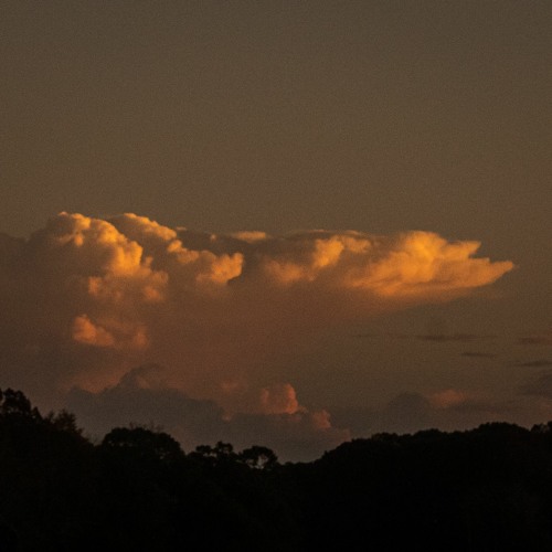 Elias Hix - Dogwood Trees - Reviews - Album of The Year