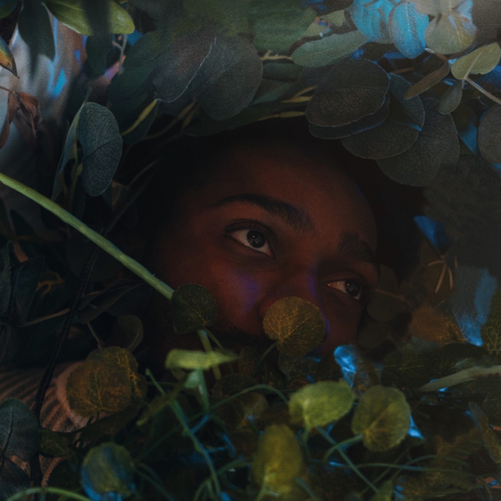 D'mari Harris - earth t0nes (EP) - Reviews - Album of The Year