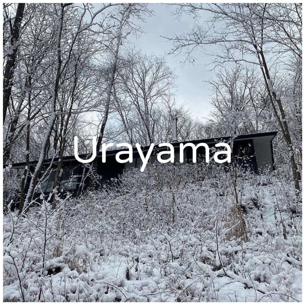 Michiru Aoyama - Urayama - Reviews - Album of The Year