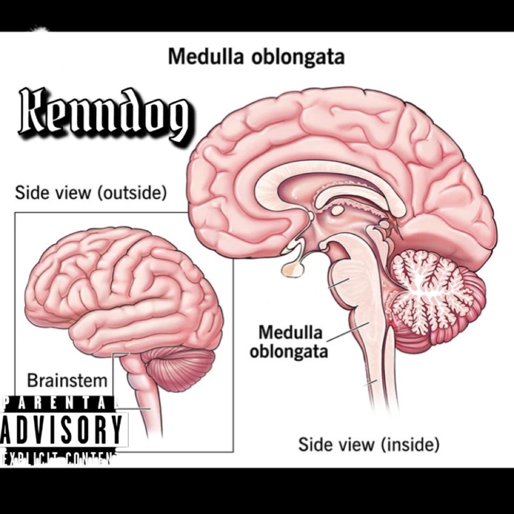 Kenndog - Medulla - Reviews - Album of The Year