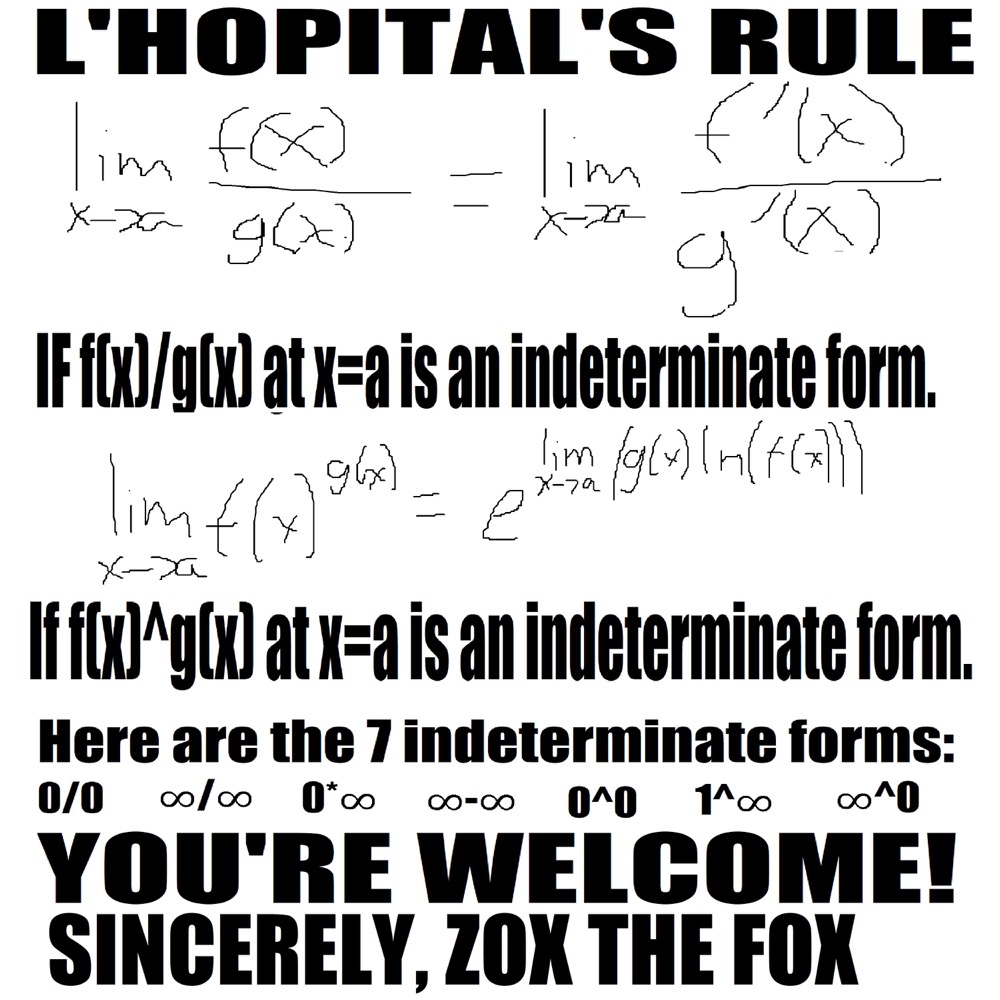 Zox The Fox - L'Hôpital's Rule (Single) - Reviews - Album of The Year