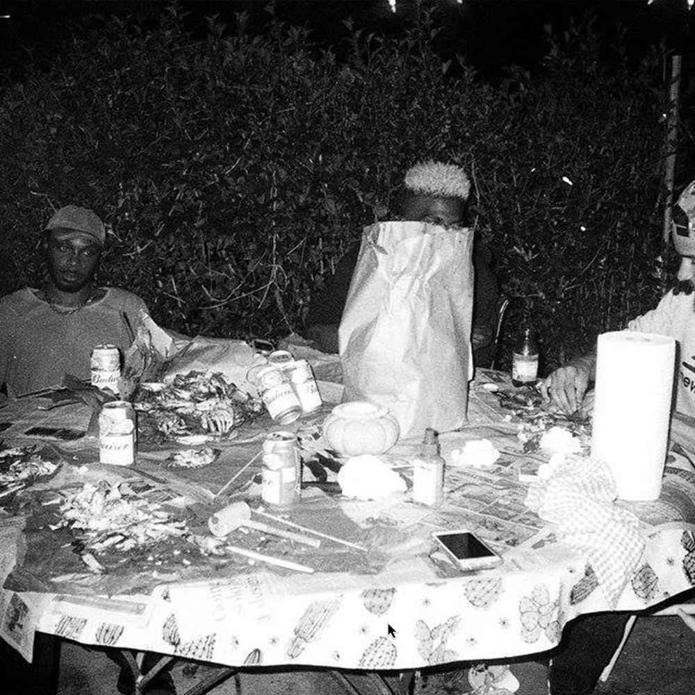 JPEGMAFIA - THIS SONG IS A SAFE SPACE (Single) - Reviews - Album of The ...