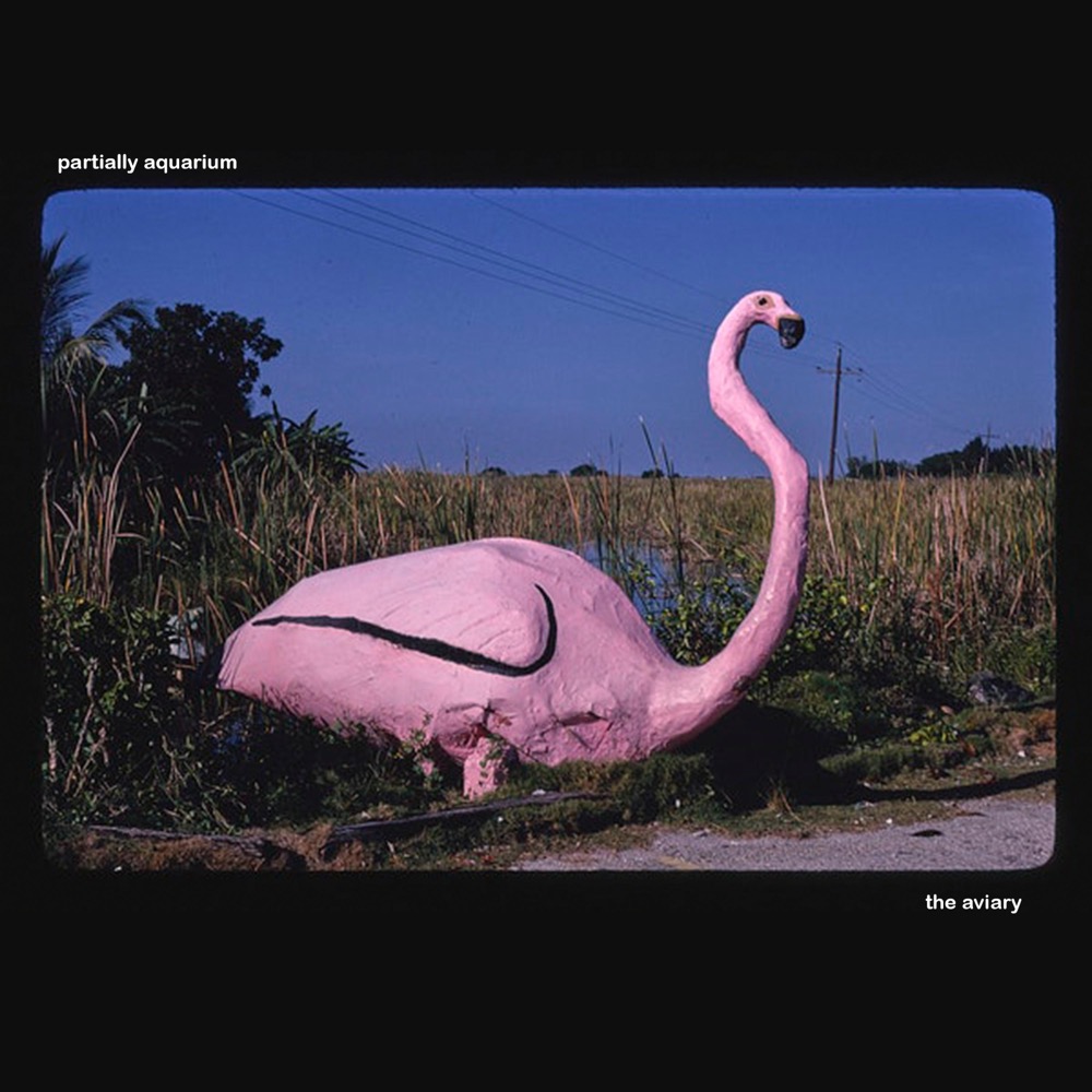 Partially Aquarium - The Aviary (EP) - Reviews - Album of The Year