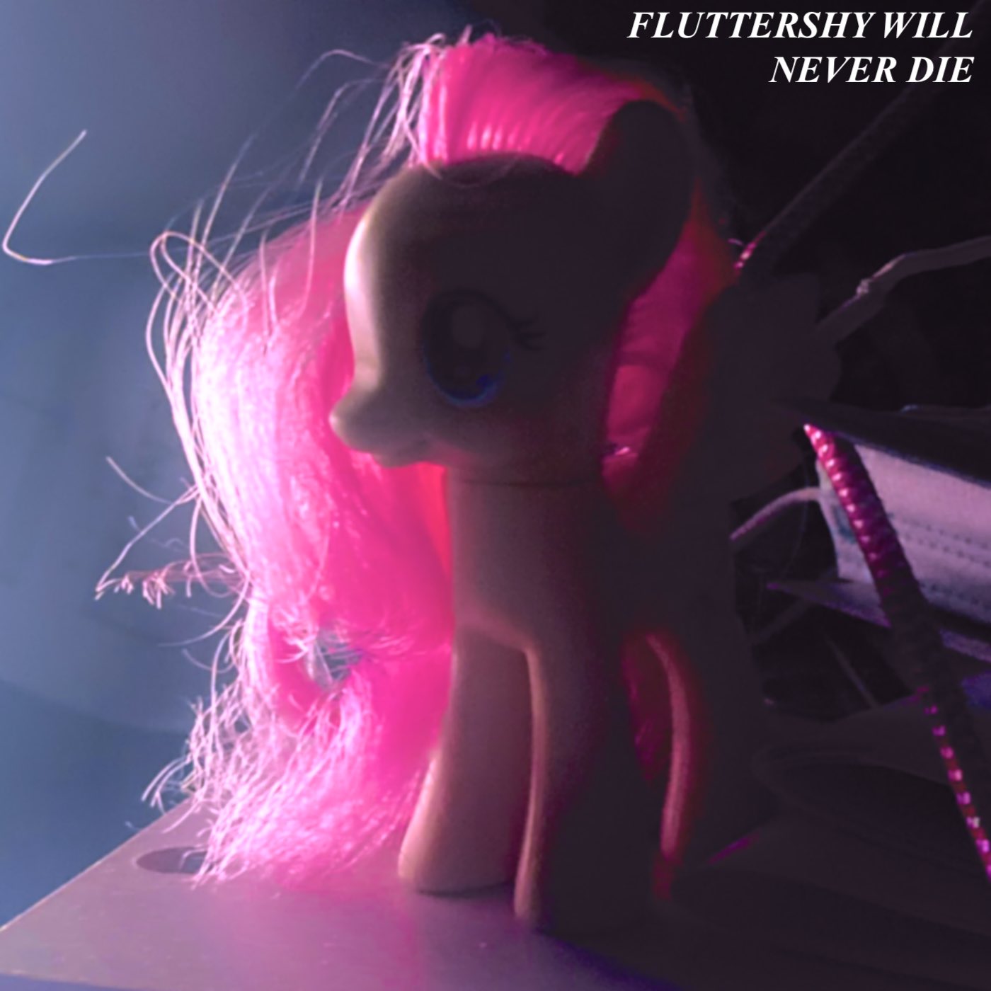 Fluttershy Will Never Die - fluttershy will never die - Reviews - Album ...