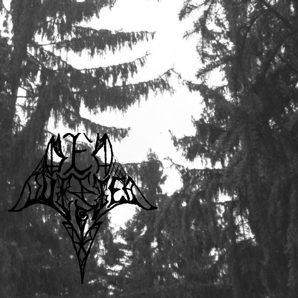 Den Duister - Den Duister (II) - Reviews - Album of The Year
