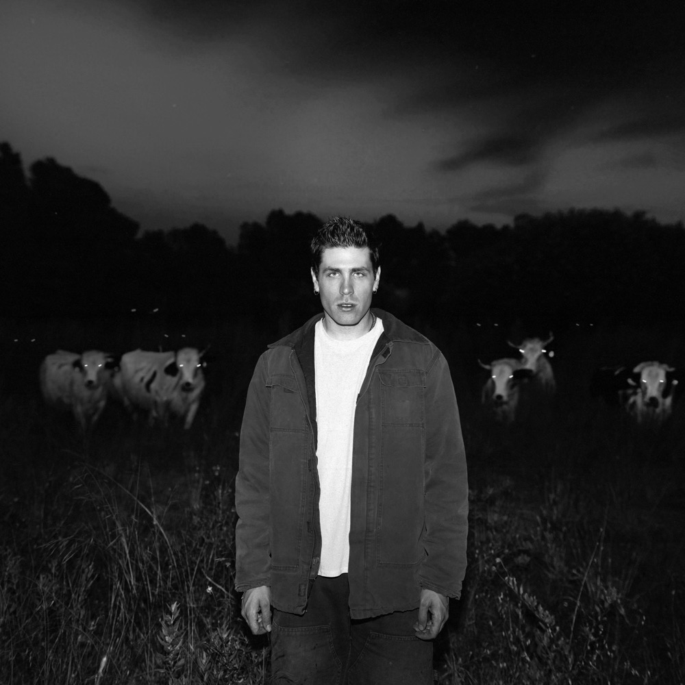 Zach Palmer - The Cattle - Reviews - Album of The Year