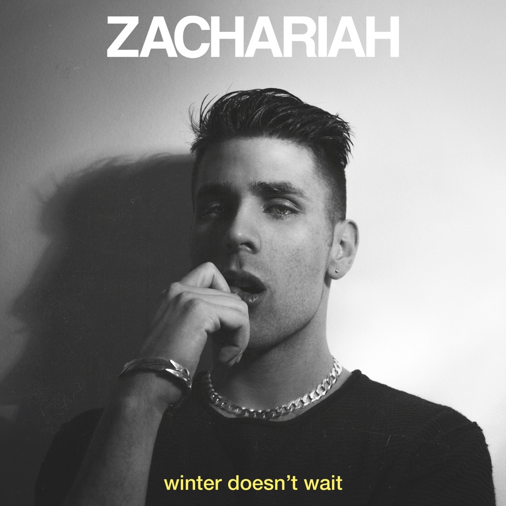 Zach Palmer - Winter Doesn’t Wait - Reviews - Album of The Year