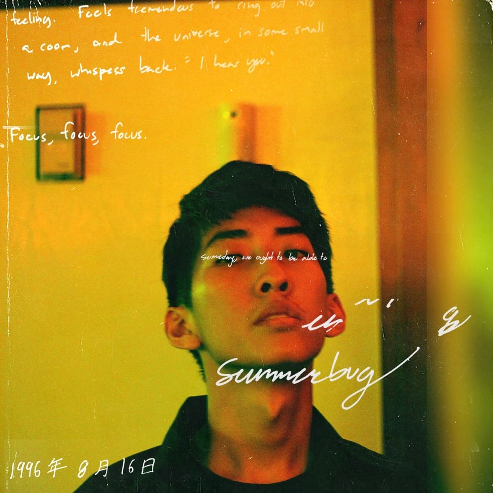 Kaz Moon - Summerbug - Reviews - Album of The Year