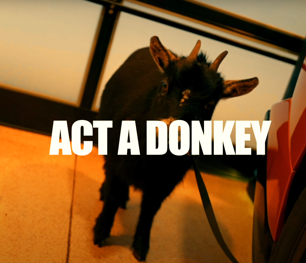 YoungBoy Never Broke Again - Act A Donkey - Reviews - Album of The Year