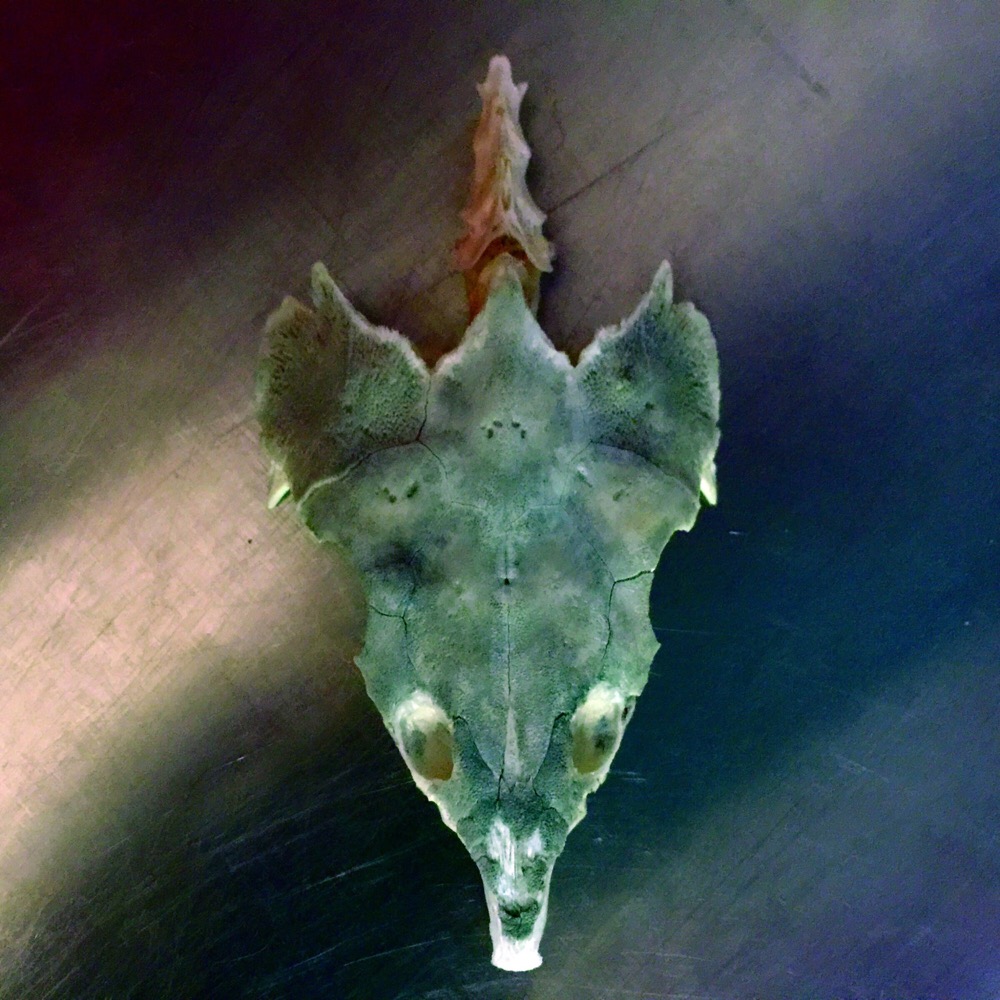 Werewolf Jerusalem - Walpurgis Night - Reviews - Album of The Year