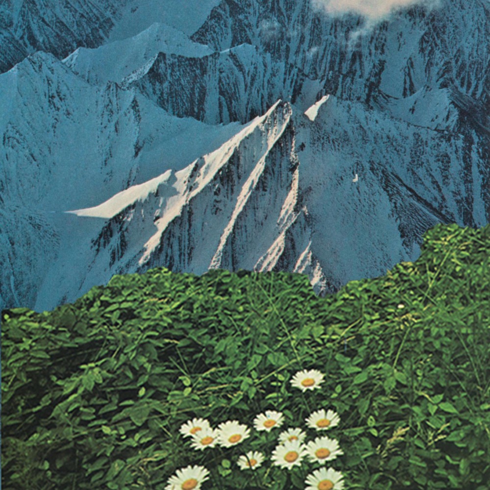 Mallbangs - Forget Me Nots - Reviews - Album of The Year