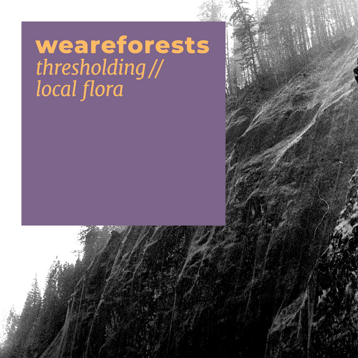 Weareforests - thresholding // local flora - Reviews - Album of The Year