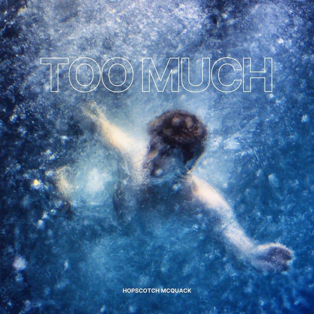 Hopscotch McQuack - Too Much (Single) - Reviews - Album of The Year