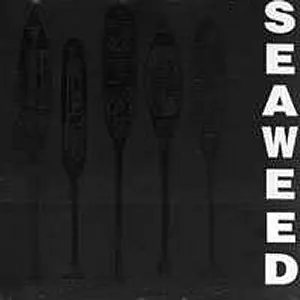 Seaweed - Seaweed (EP) - Reviews - Album of The Year