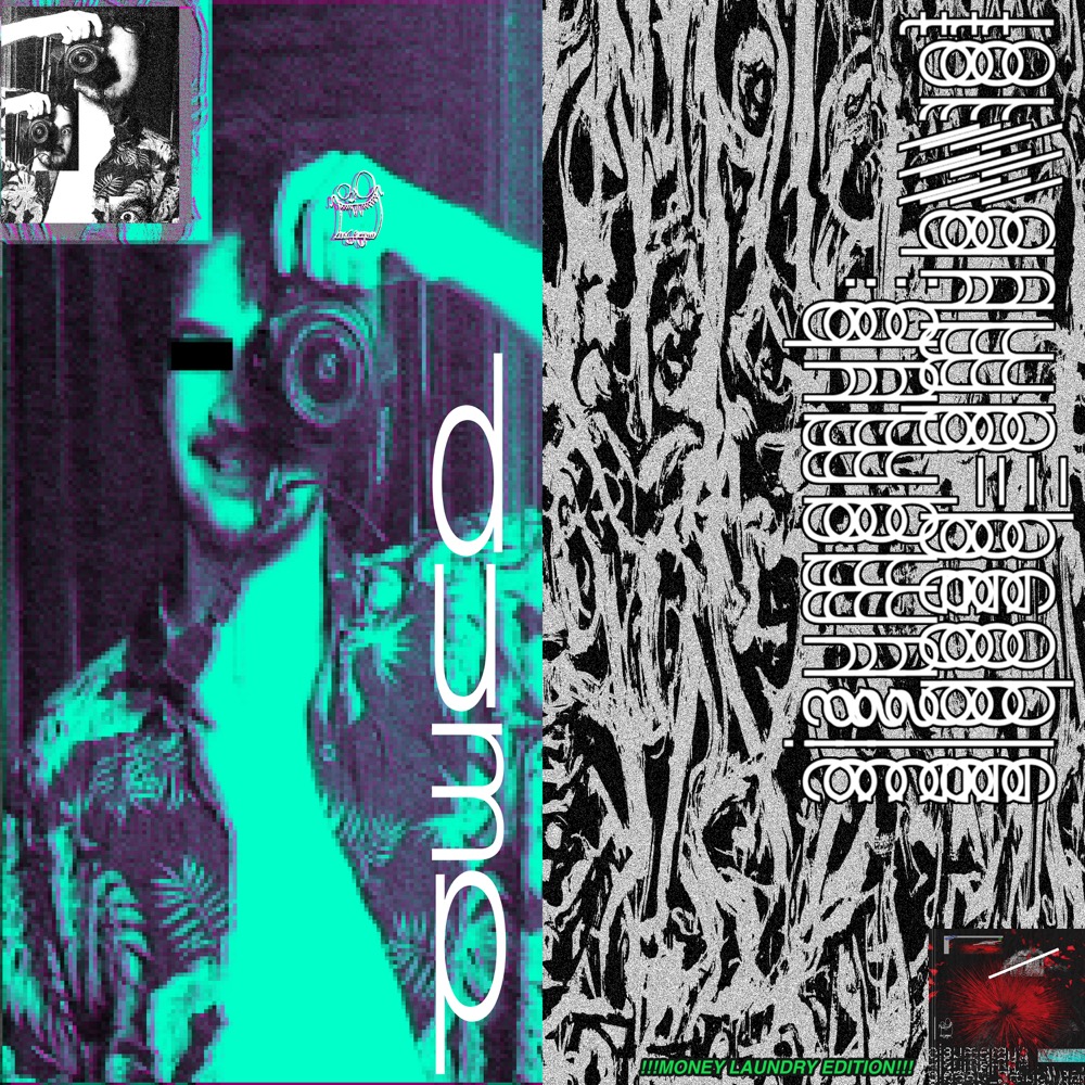 Dump Music - Dump Music for Dumb People - Reviews - Album of The Year