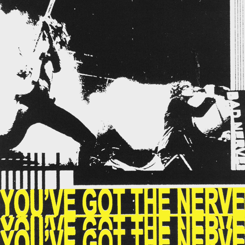 Bad Nerves - You’ve Got The Nerve (Single) - Reviews - Album of The Year