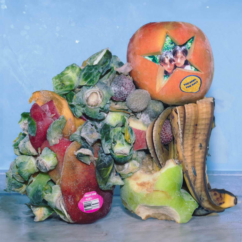 The Army, The Navy - Fruit For Flies (EP) - Reviews - Album of The Year
