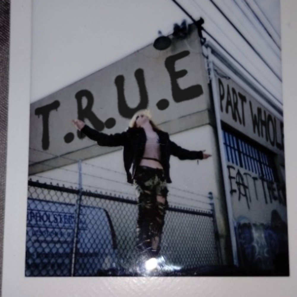 The Rat Utopia Experiment - Part/Whole (Single) - Reviews - Album of ...