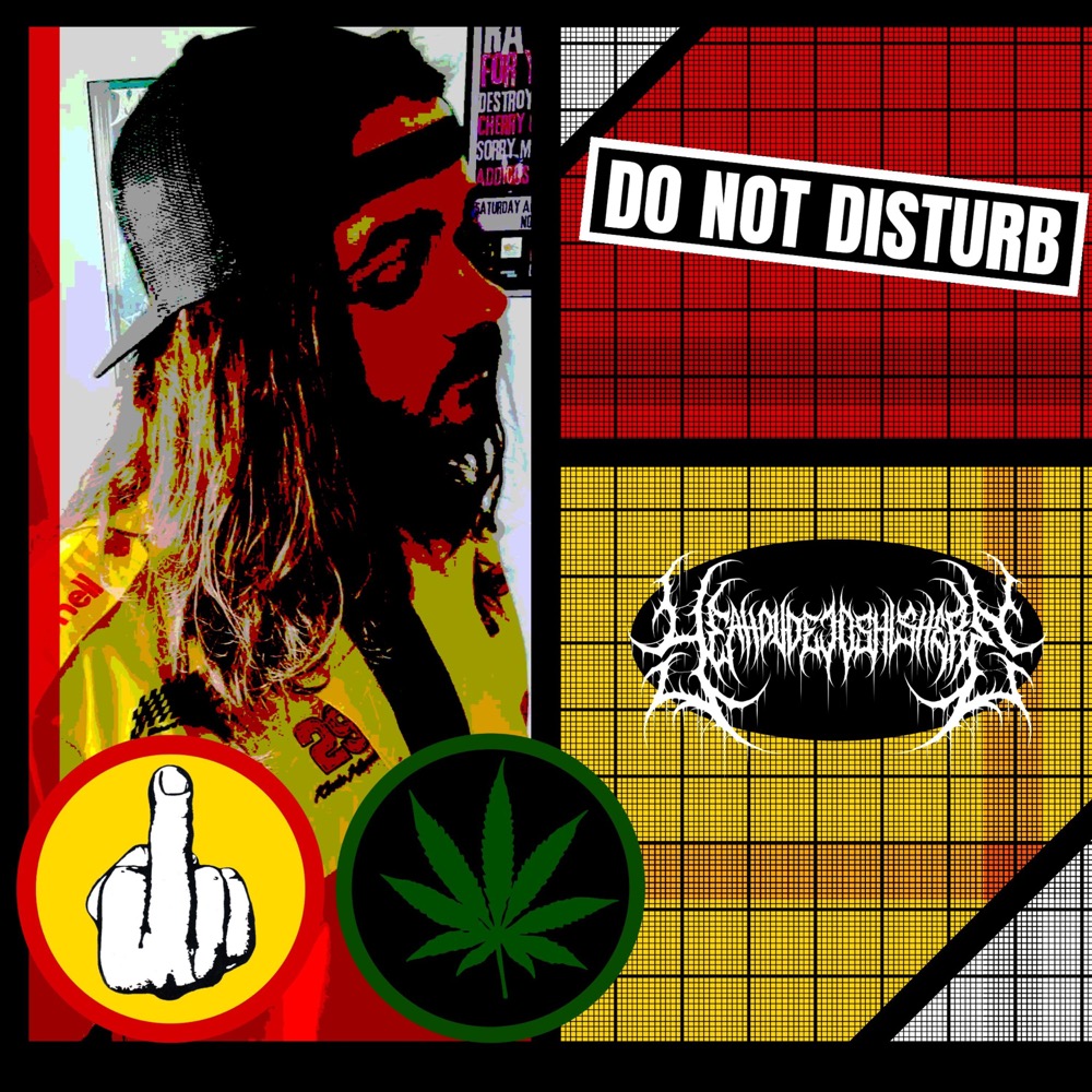 Yeahdudejoshishere - DO NOT DISTURB - Reviews - Album of The Year