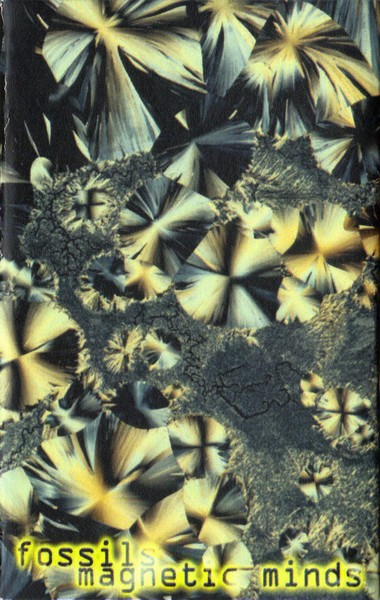 Fossils - Magnetic Minds - Reviews - Album of The Year