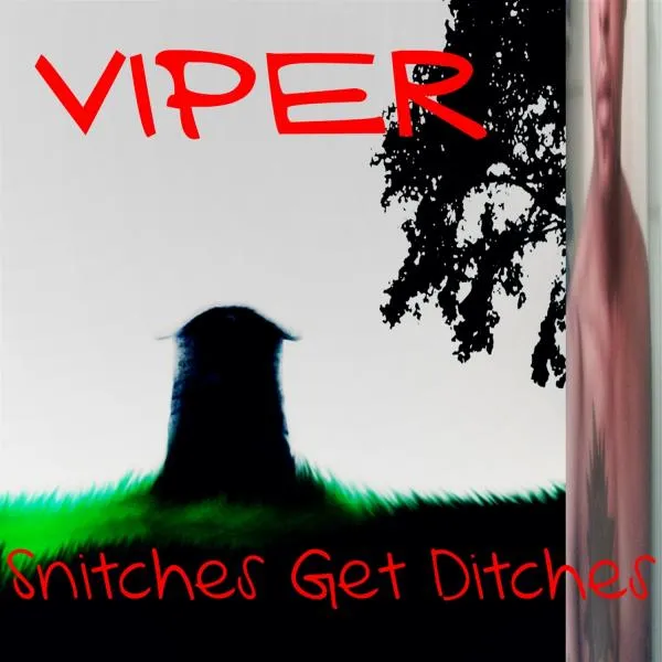 Viper - Snitches Get Ditches - Reviews - Album of The Year
