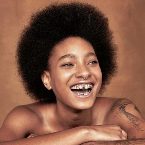 WILLOW - b i g f e e l i n g s - Reviews - Album of The Year