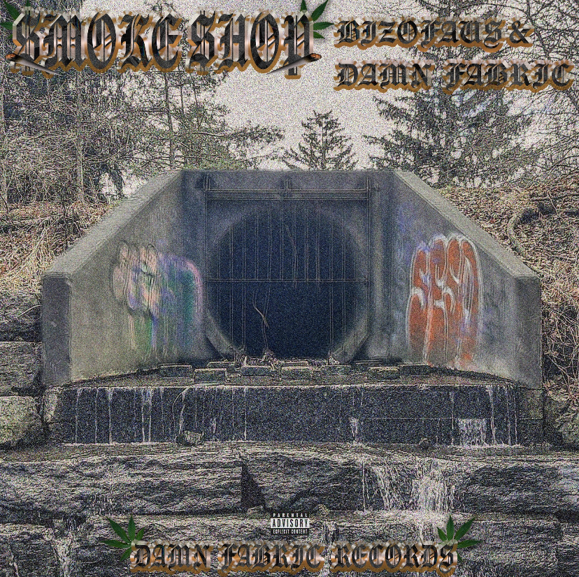 Damn Fabric & Bizofaus - $moke $hop - Reviews - Album of The Year
