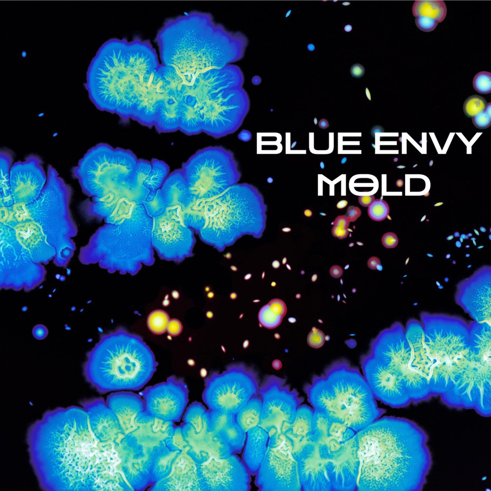 Blue Envy - Mold - Reviews - Album of The Year